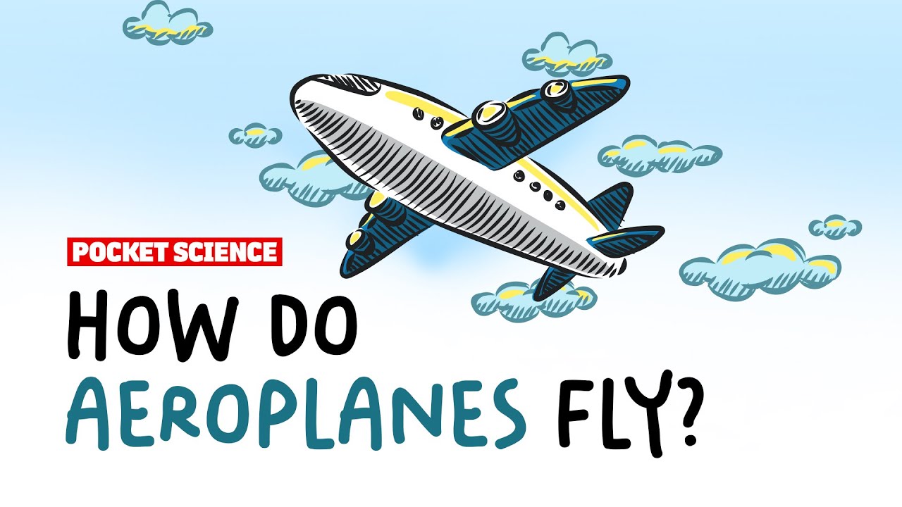 Up in the Air: The Physics of Airplane Flight Explained! - YouTube