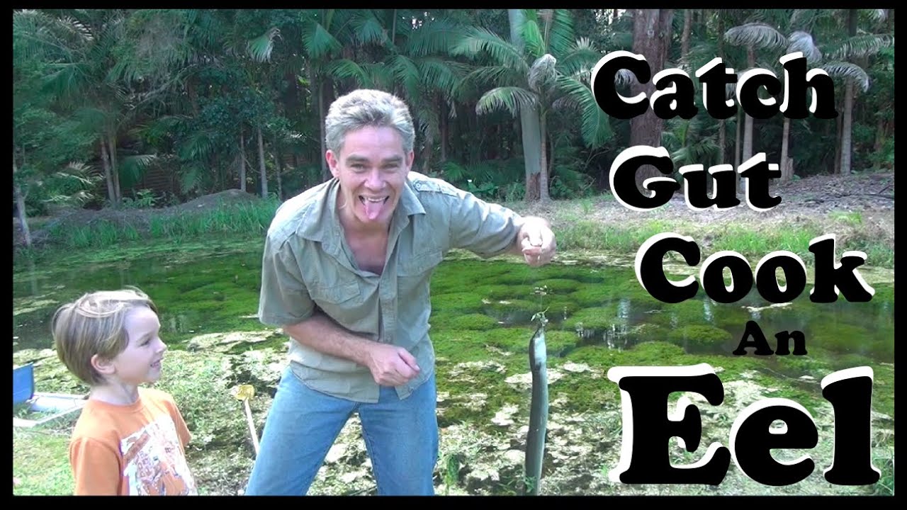 How to Catch, Gut, Cook and Eat an Eel - YouTube