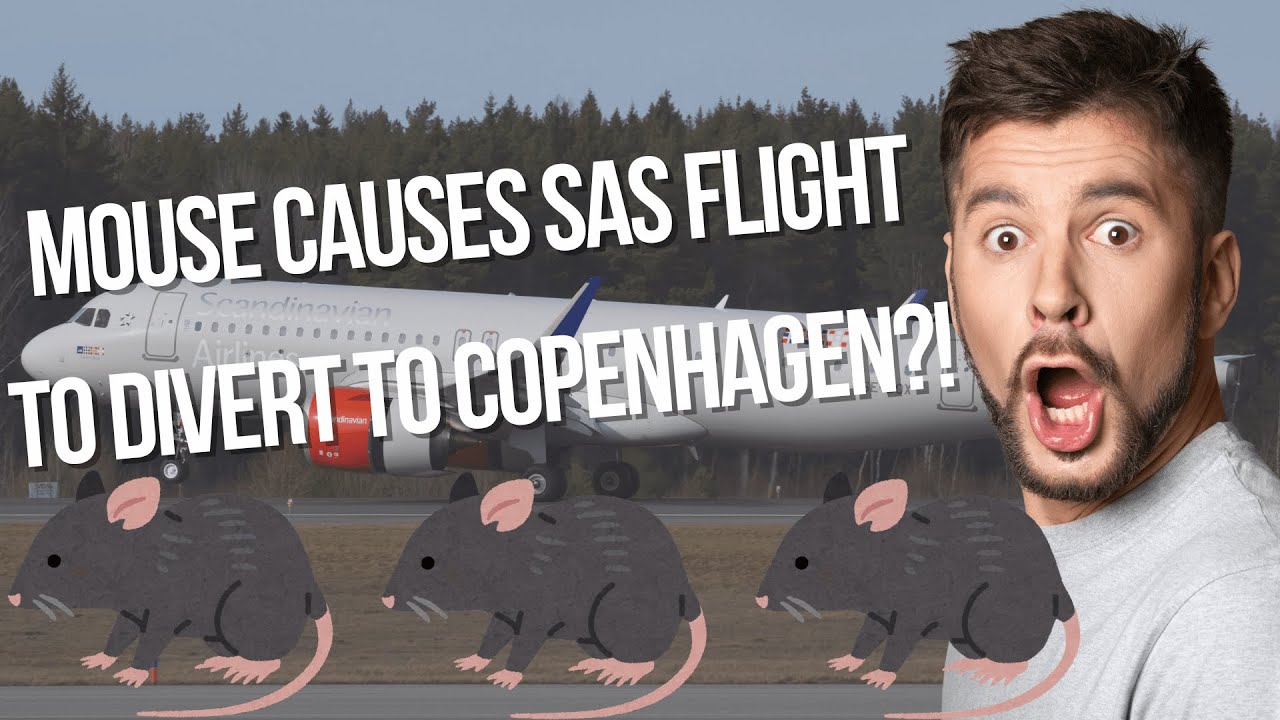 Mouse Causes SAS Flight to Divert to Copenhagen?! - YouTube