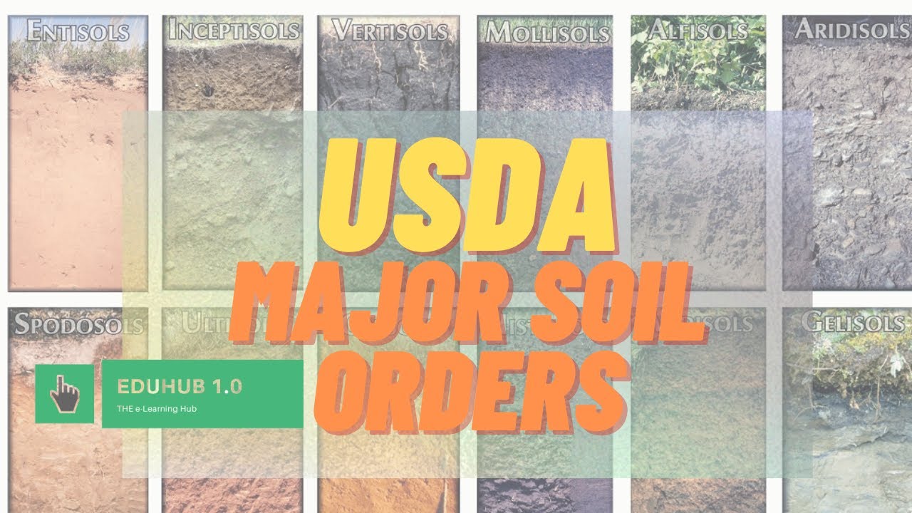 Soil Orders as per USDA classification - YouTube