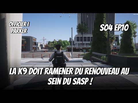 FlashBack WL | S04 EP10 | Officier I 95 | La K9 doit ramener du renouveau au sein du SASP ...