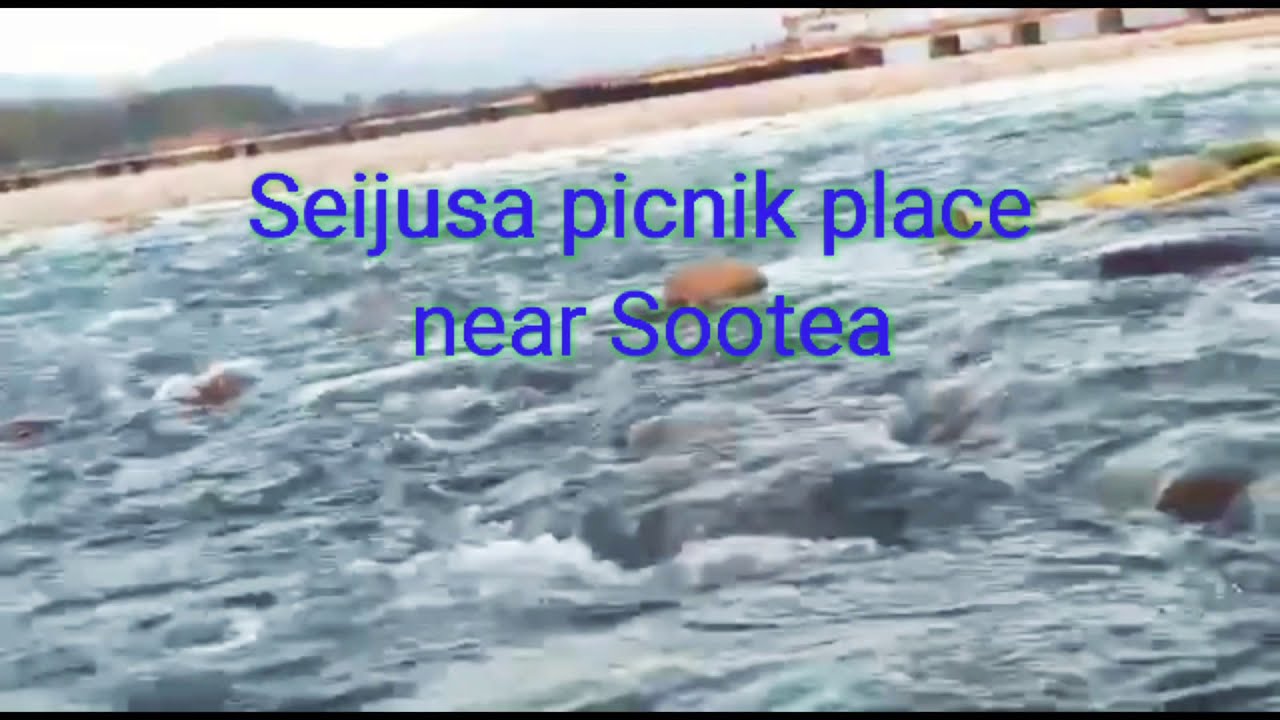 Seijusa Picnik Trip (চিজুছাত কটোৱা মধুৰ সময়খিনি) - YouTube