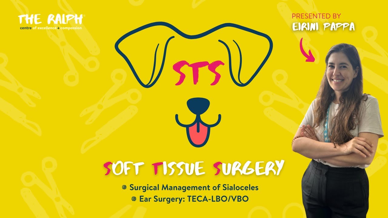 Soft Tissue Two-Parter: Surgical Management of Sialoceles and Ear ...
