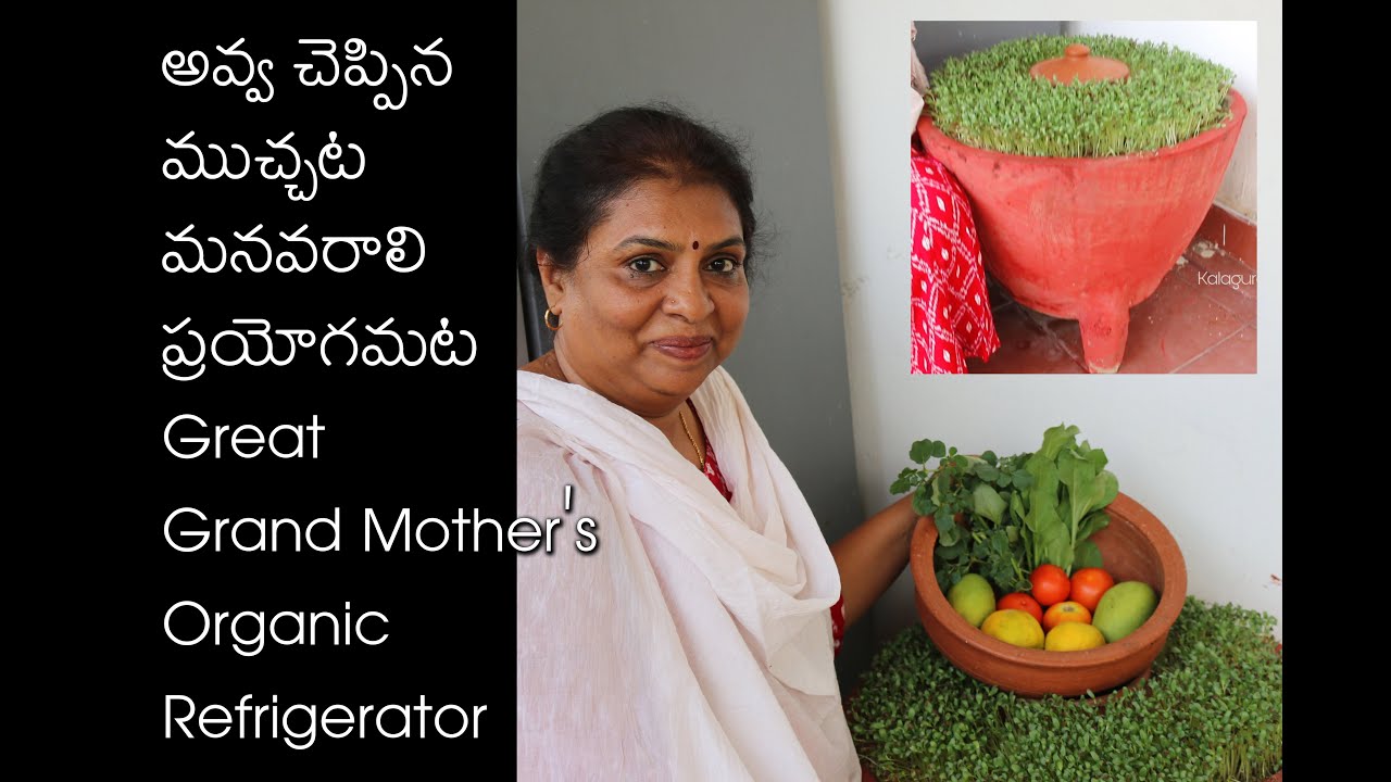 Organic janatha Refrigerator/ Natural Preservative Method/live village ...