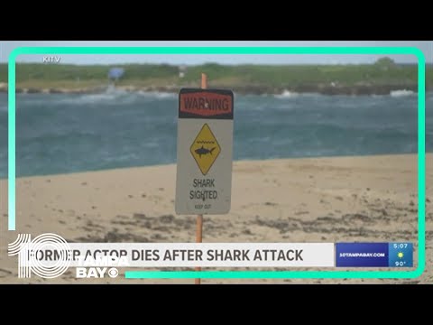 'Pirates of the Caribbean' actor dies in shark attack while surfing ...