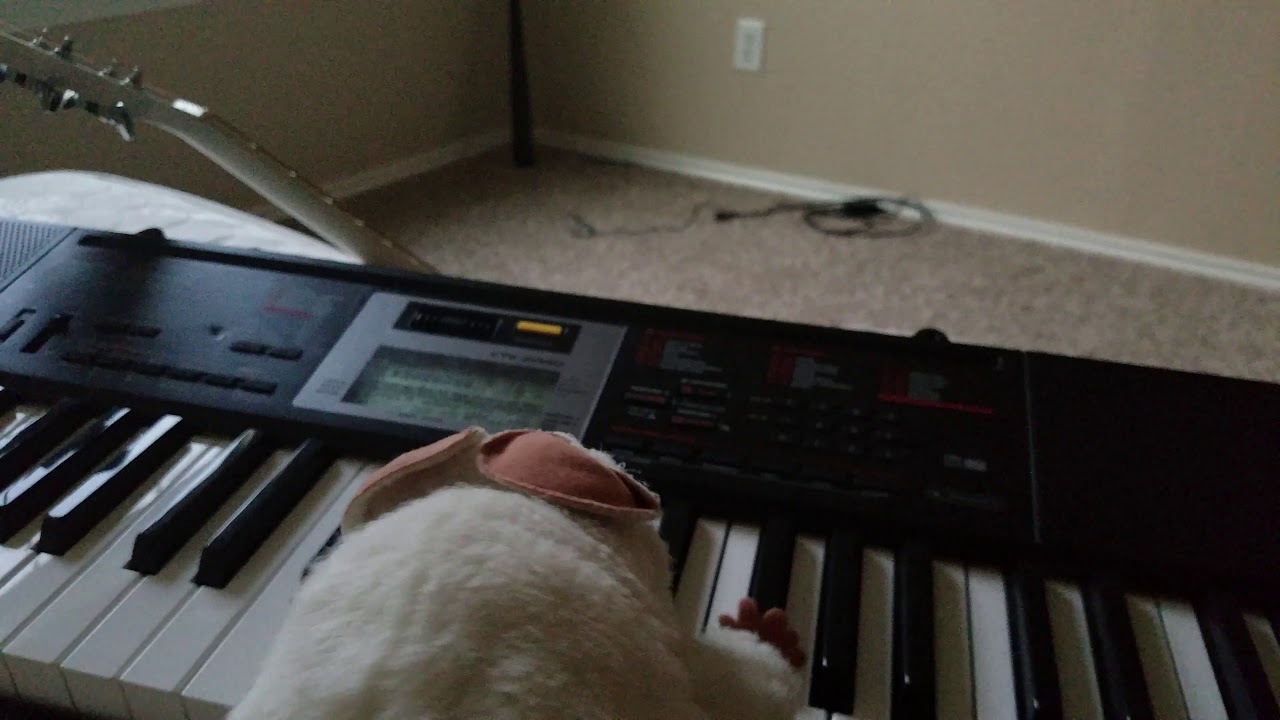Gerald the rat plays piano - YouTube