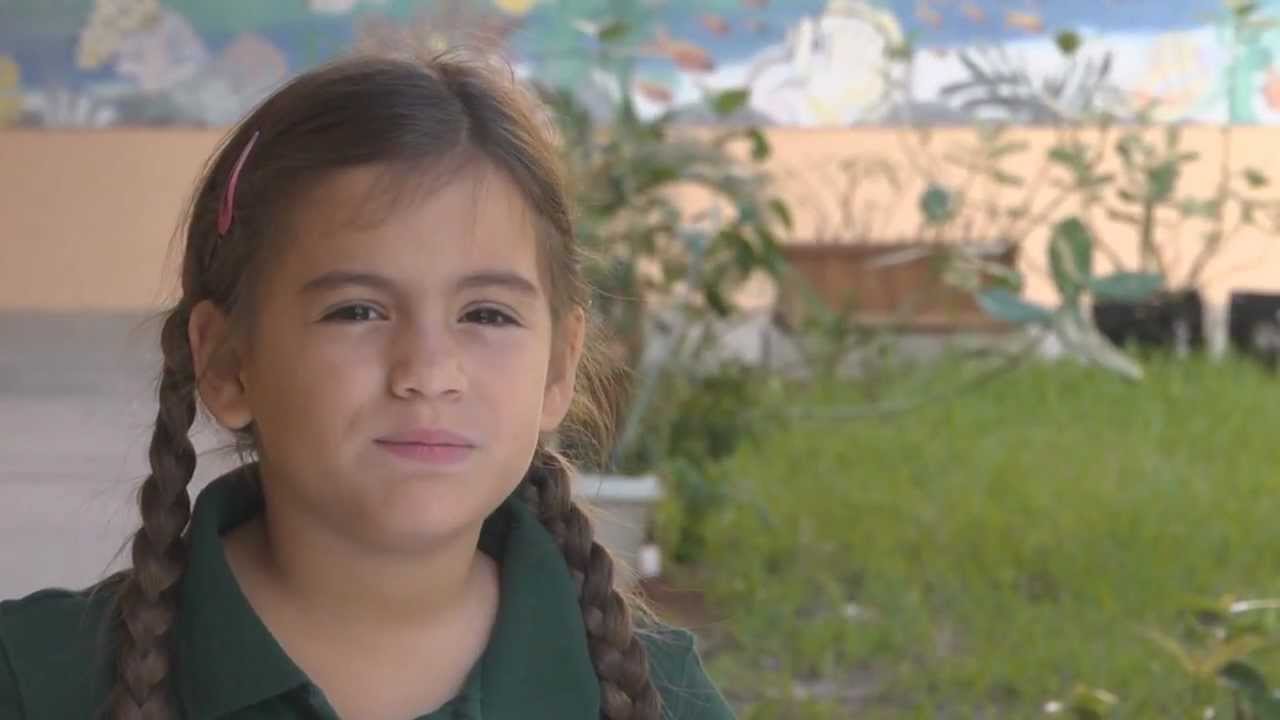 School Fitness Program Ruth K Broad Bay Harbor K 8 Center Spark Campain ...