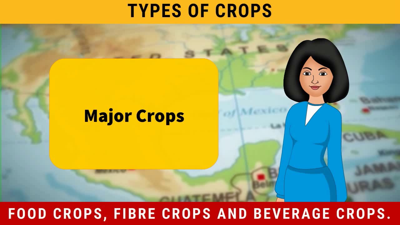 Major Crops | Types of Crops | Social Science - Geography Class 8 - YouTube