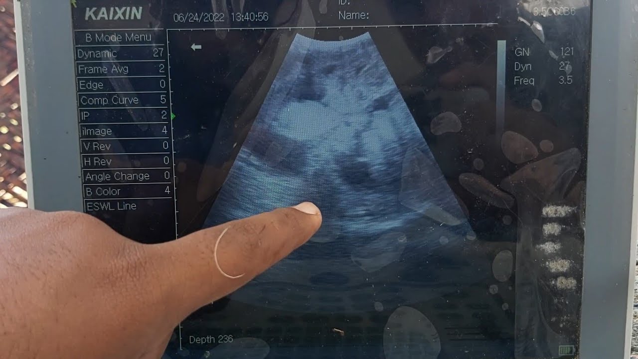 Goat & Sheep Pregnancy Test With Ultrasound Machine - YouTube