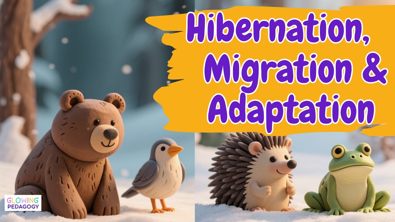 Hibernation, Migration & Adaptation — How Animals Survive Winter | Life ...