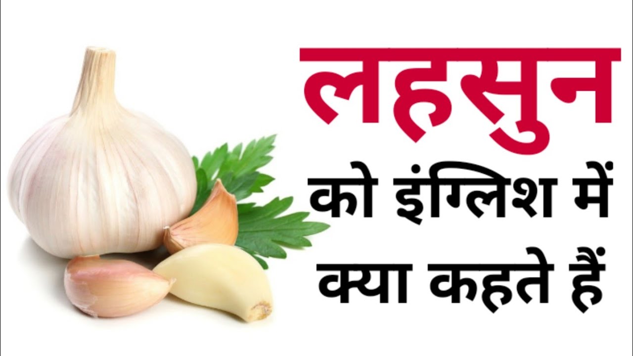 लहसुन को इंग्लिश में क्या कहते हैं | lahsun ko english mein kya kahate ...