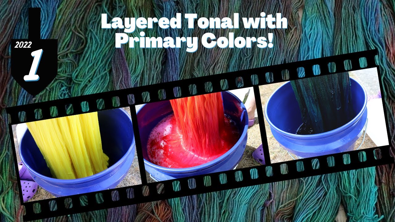 Layering Three Primary Colors for a Bird-Like Tonal Yarn (2022 Chanukah ...