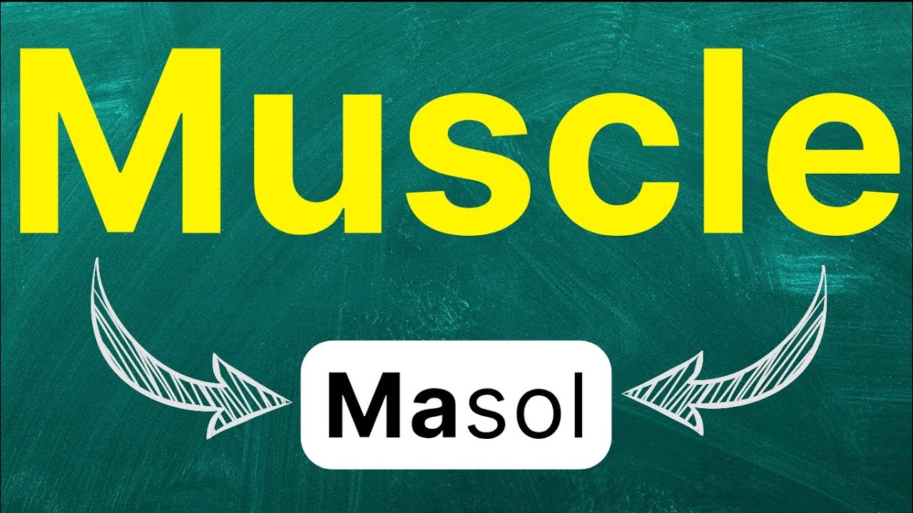 Cómo pronunciar: "muscle" "músculo" "tejido muscular" en inglés ...