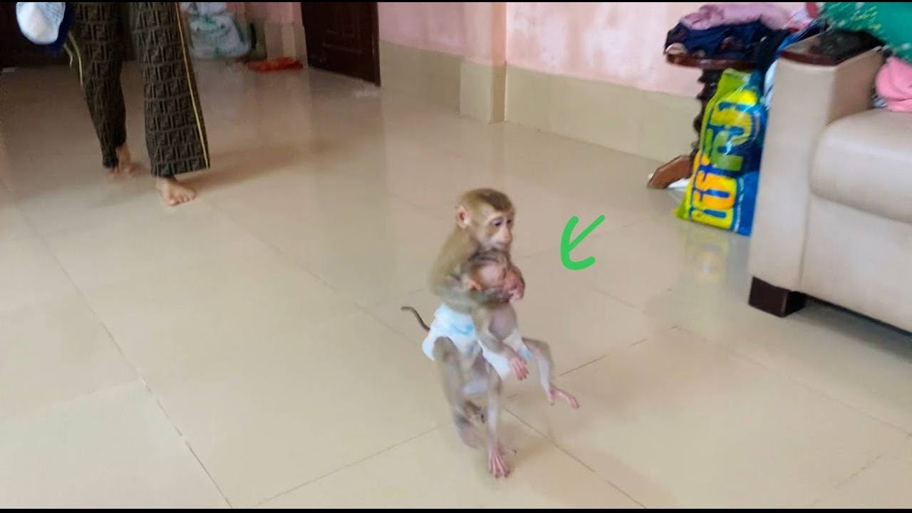 Jueur Huq Nouti Jasmine Runninq Go To Thier ComfyZone - YouTube