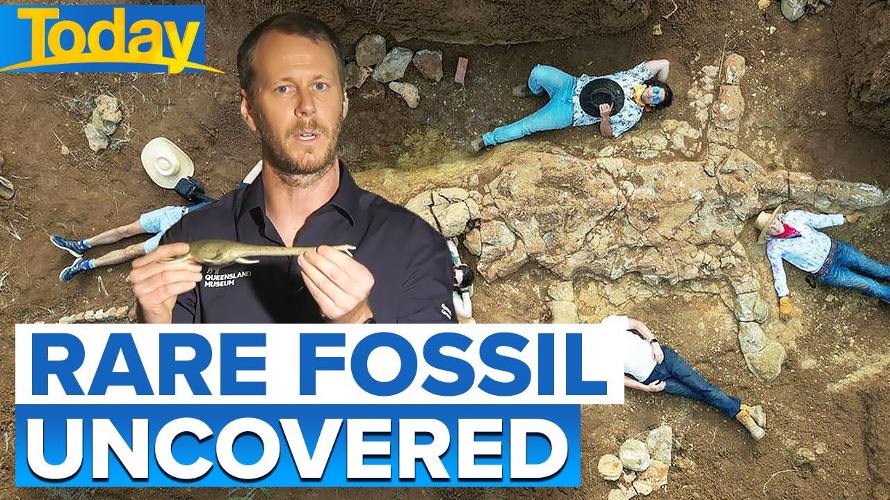 Hundred million-year-old fossil dug up in Queensland | Today Show ...