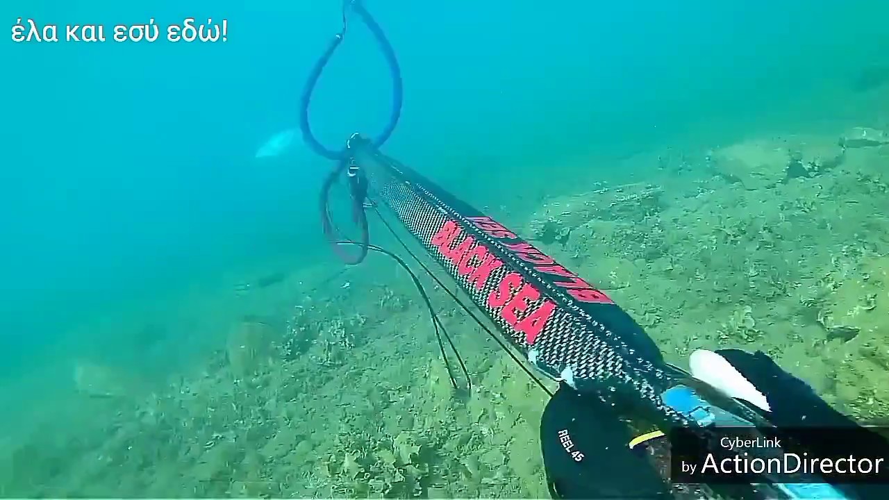 Ένα Οκτωβριανό ψάρεμα στη θαμπάδα by Θοδωρής!(spearfishing in October ...