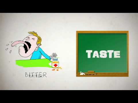 Taste English Vocabulary - YouTube