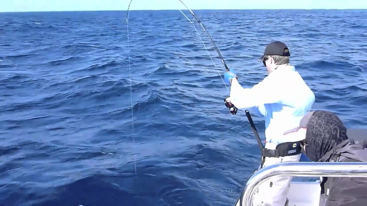 Elusive Reef 2010 - YouTube