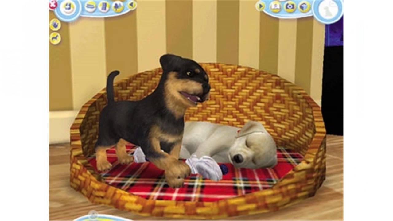 Petz Dogz 2 WII - YouTube