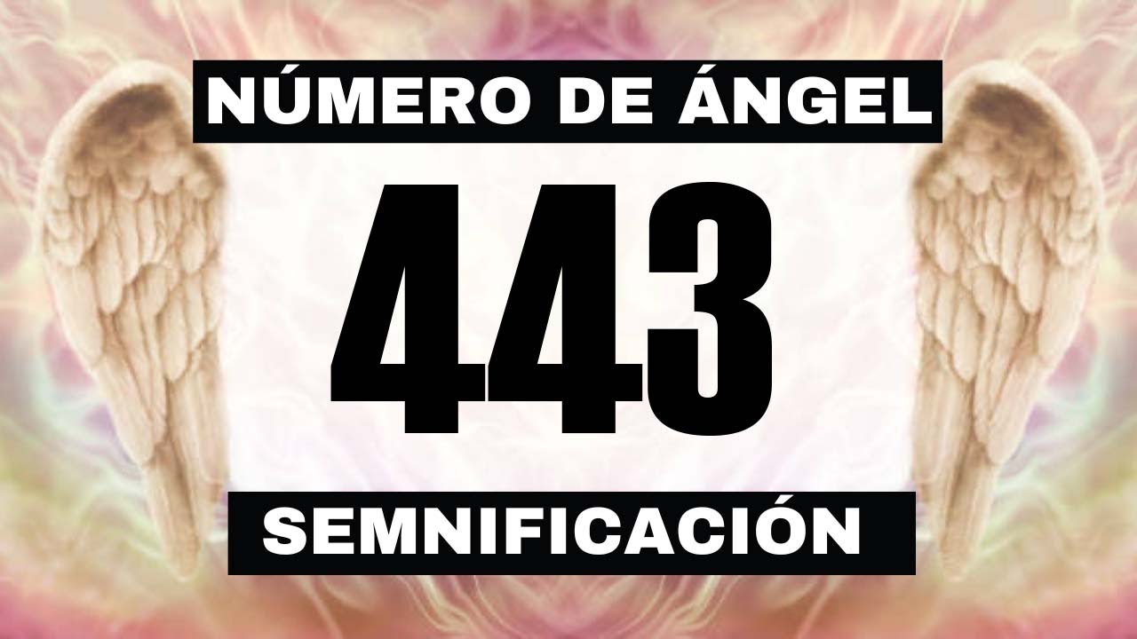 Por qué sigues viendo el número de ángel 443? El significado más ...