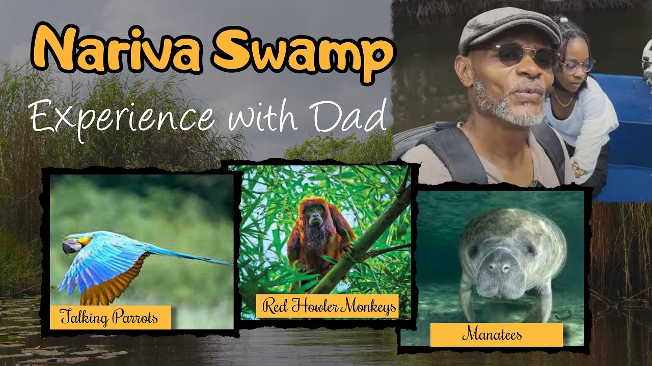 Experiencing the Nariva Swamp with Dad - YouTube