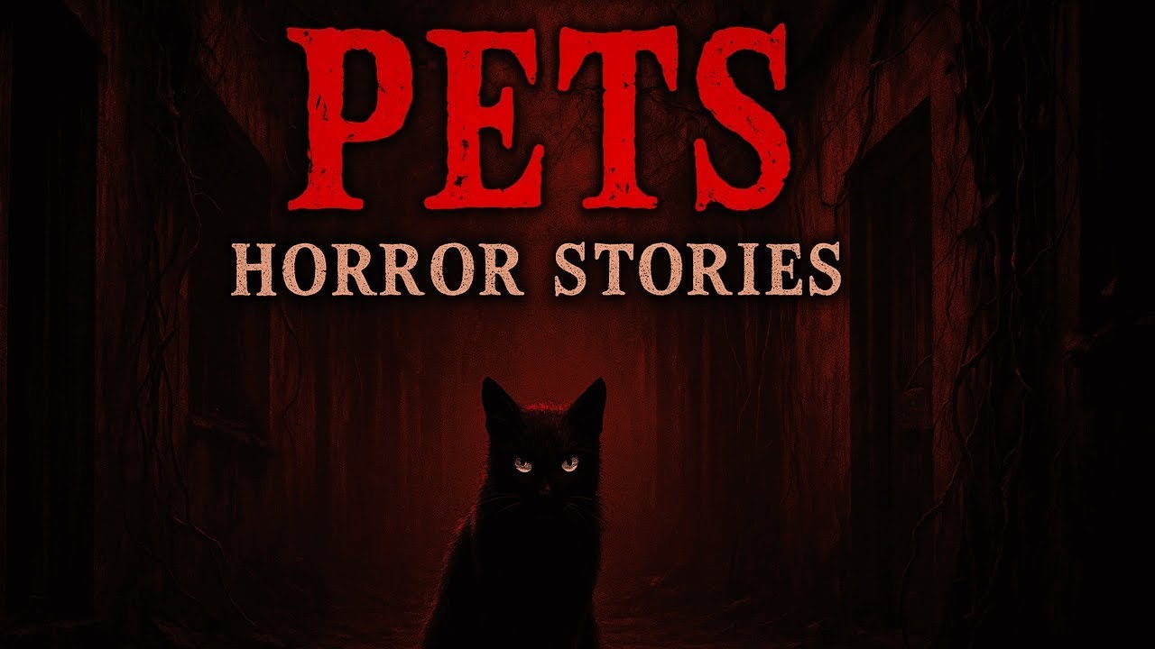 4 Terrifying True Pet Horror Stories When Animals See What We Can’t ...