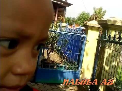 BURUNG BEO goyang, burung beo lucu, tingkah burung beo