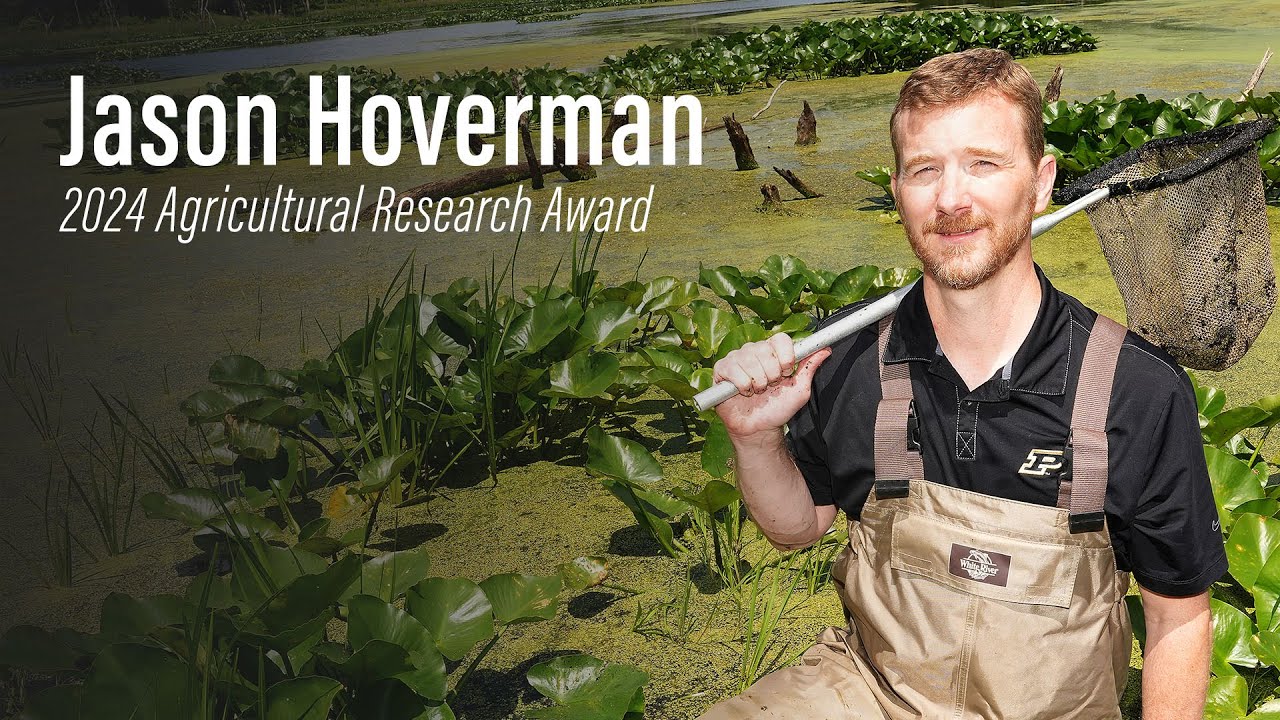2024 Agricultural Research Award: Jason Hoverman - YouTube