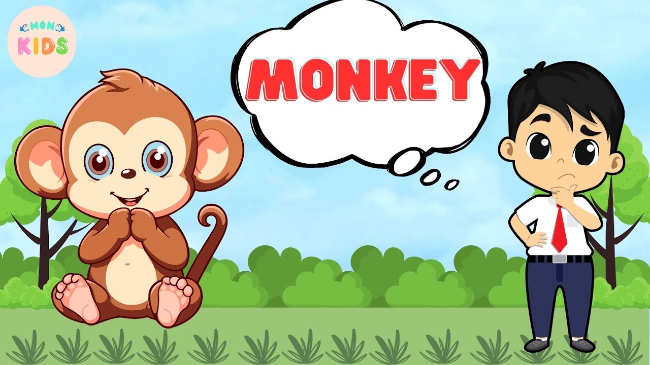 Monkey Facts For Kids 🐒 Learn All About Monkeys | MON Kids - YouTube