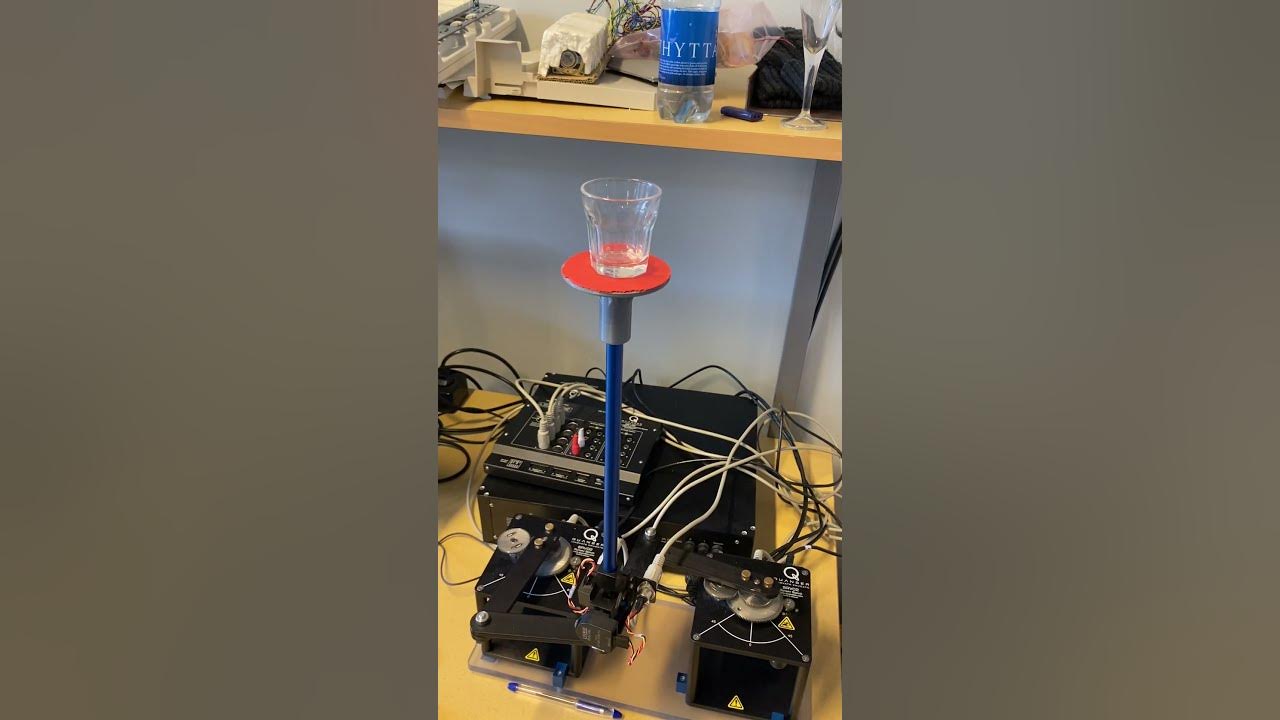 Control of a 2DOF Inverted Pendulum - YouTube