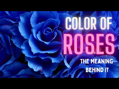 What color roses symbolize friendship in flower gifting?