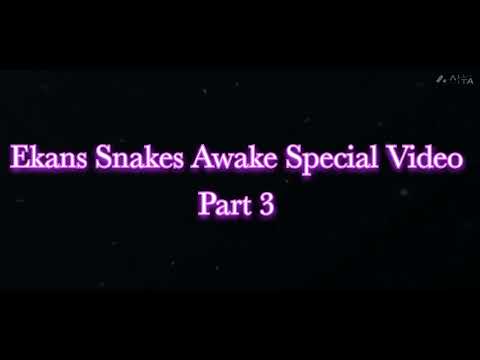 Ekans Snakes Awake Namshivya trilochanya part 3 🐍🥰🤩💖 Ekans Nagmani ...