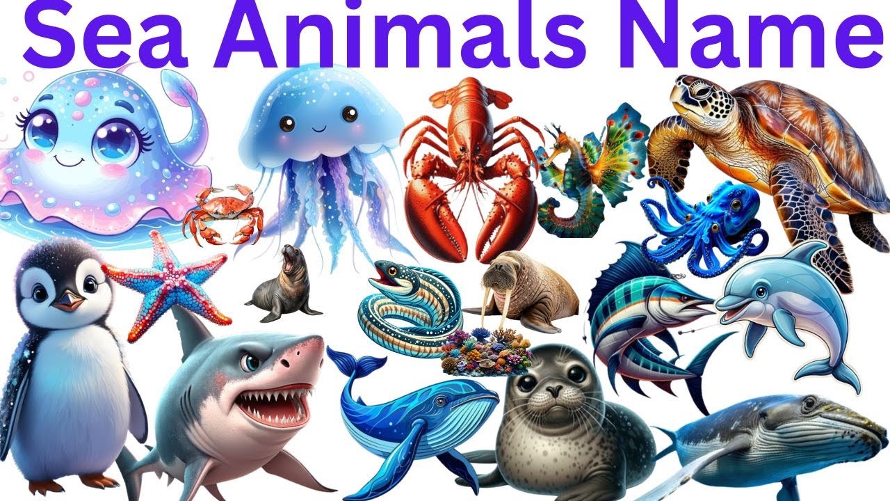 20 Sea Animals Name for Kids | समुद्री जीवों के नाम | Learn Ocean ...