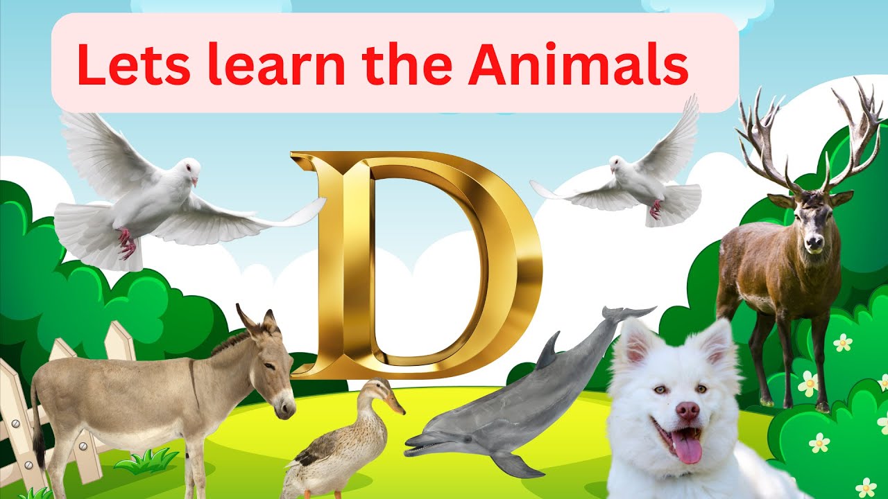 ANIMALS GALORE! A to Z Expedition Begins - YouTube