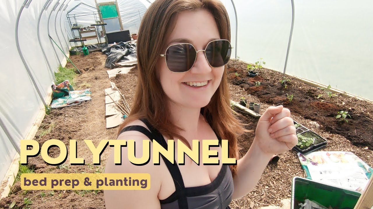 Prepping The Polytunnel For Growing Season: Beds In & Planting Veg ...