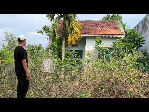 Açık artırmada birkaç yüz euroya terk edilmiş ev kazandı… temizleyince altın madeni oldu