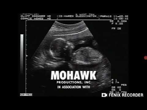 Job Site Productions/Mohawk Productions/Warner Bros. Television (2001 ...