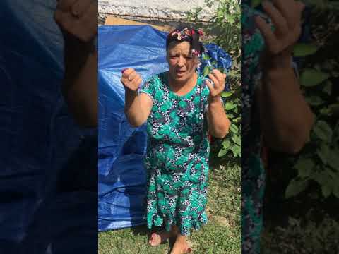 Azərbaycan Hərbçisinin Anasını evindən çölə atdılar.28.07.2018
