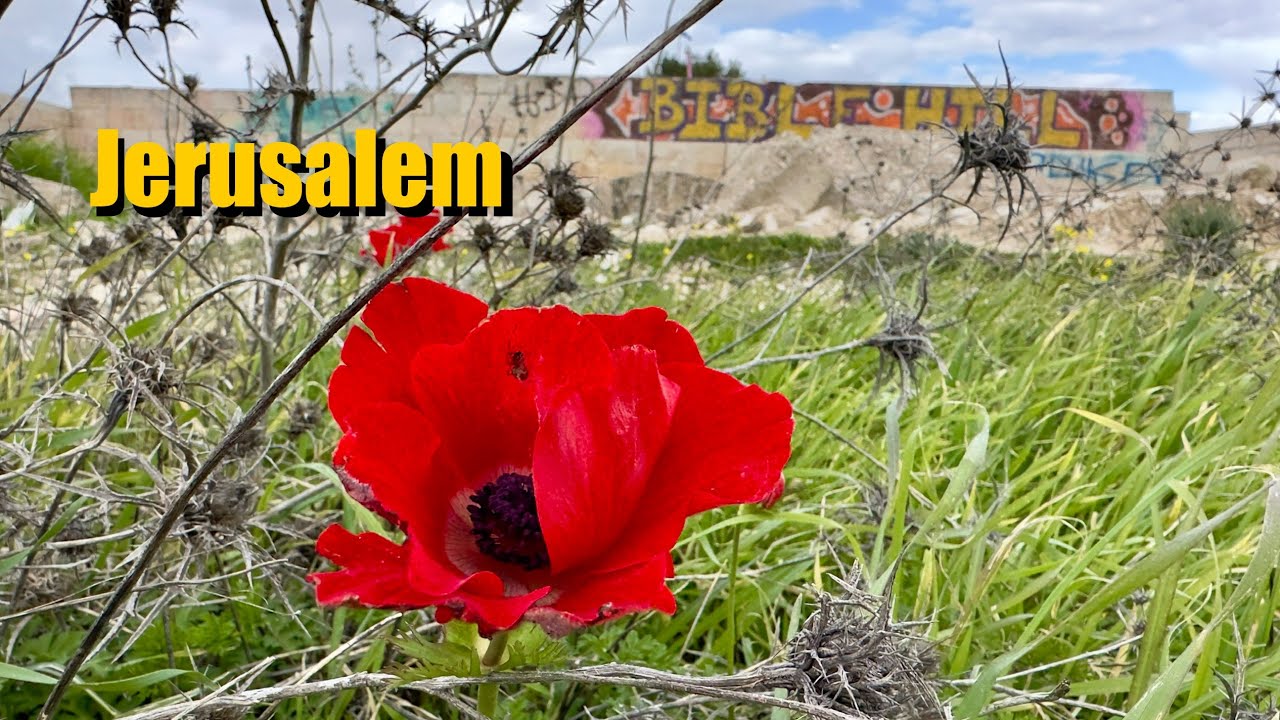 A walk through winter Jerusalem. Unusual city - YouTube