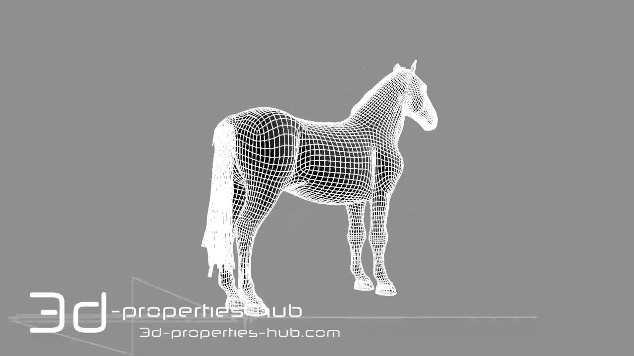 Horse 360 view - YouTube