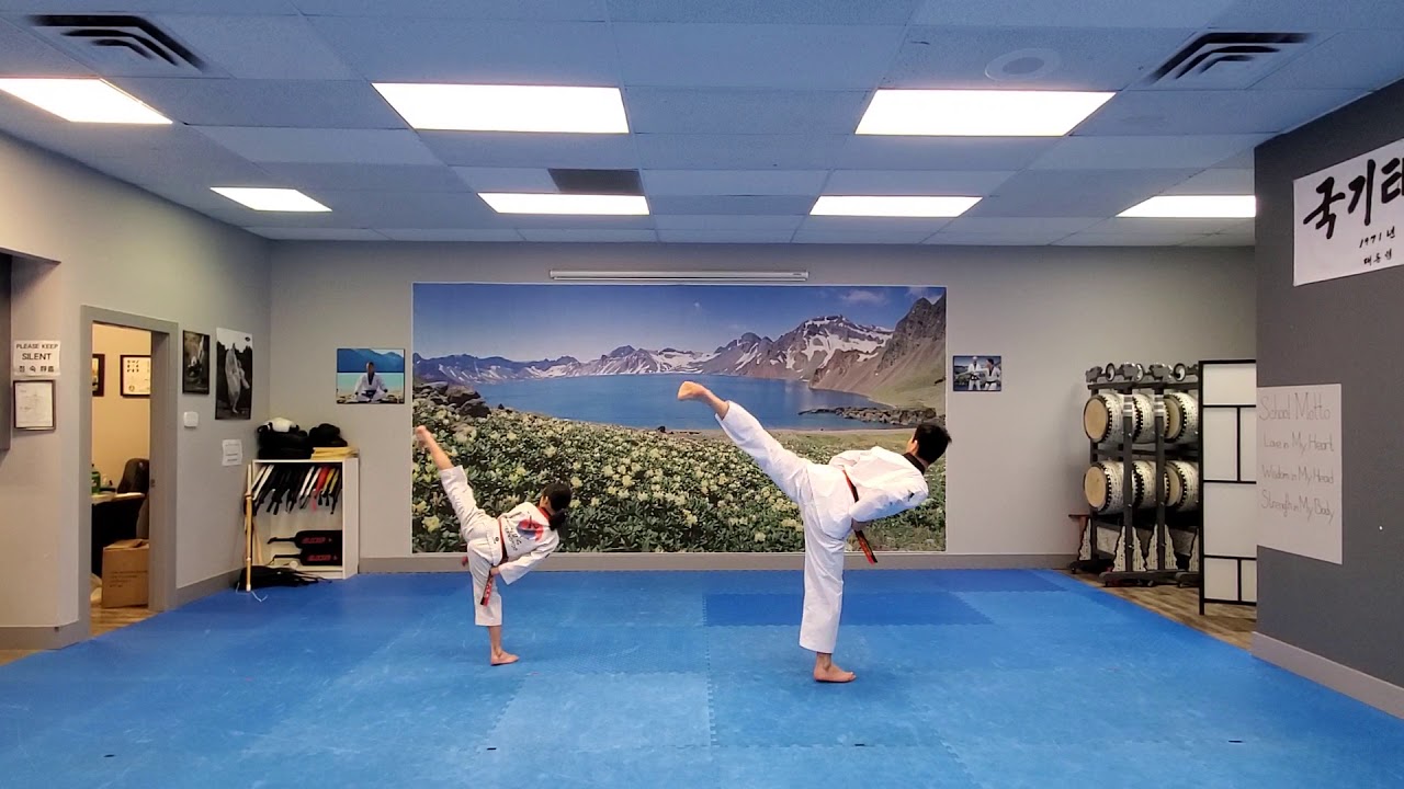 Ryu's Taekwondo Curriculum (Geungi: Yugeupja Balchagi 1-10 / Red Belt ...