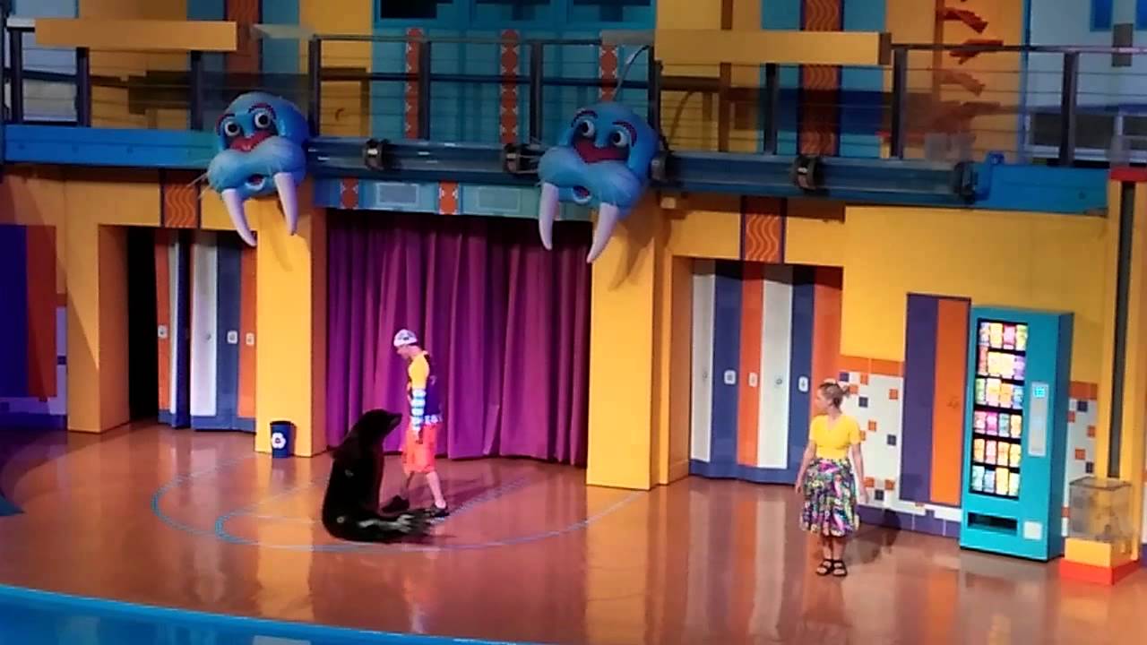 Sea Lion High Preview at SeaWorld Orlando - YouTube