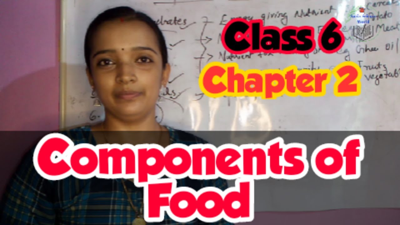 Components of Food | Class 6 Science | NCERT Science Class 6 Chapter 2 ...