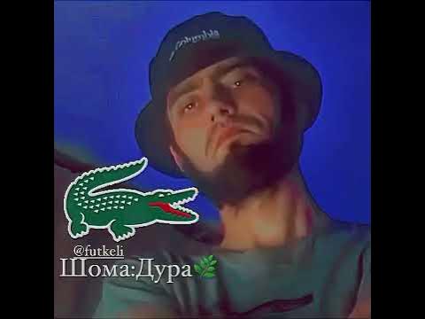 Шома тигр🌴 - YouTube