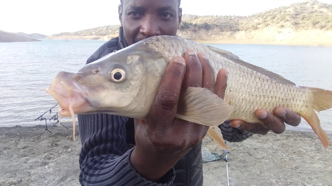 Carp fishing Spain - YouTube