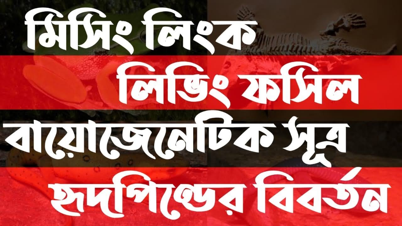 MISSING LINK AND LIVING FOSSIL | EVIDENCES OF EVOLUTION | Ernst Haeckel ...