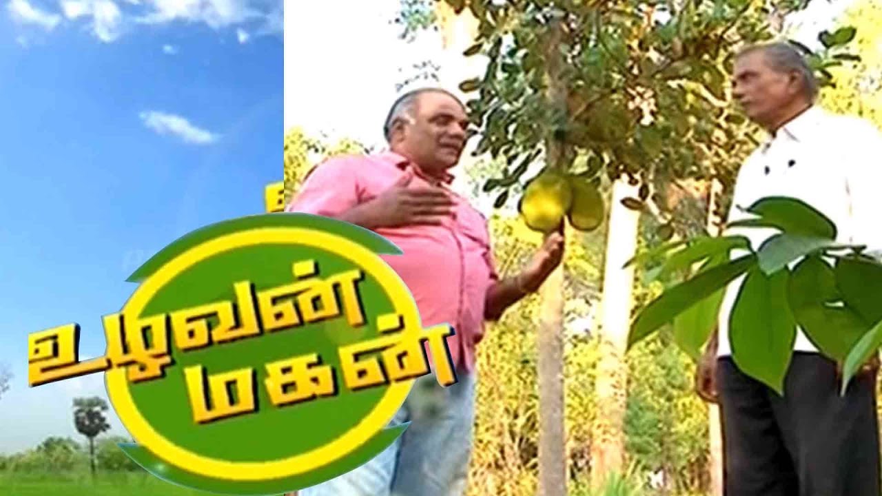 Uzhavan Magan 22 Jan 2017 - YouTube