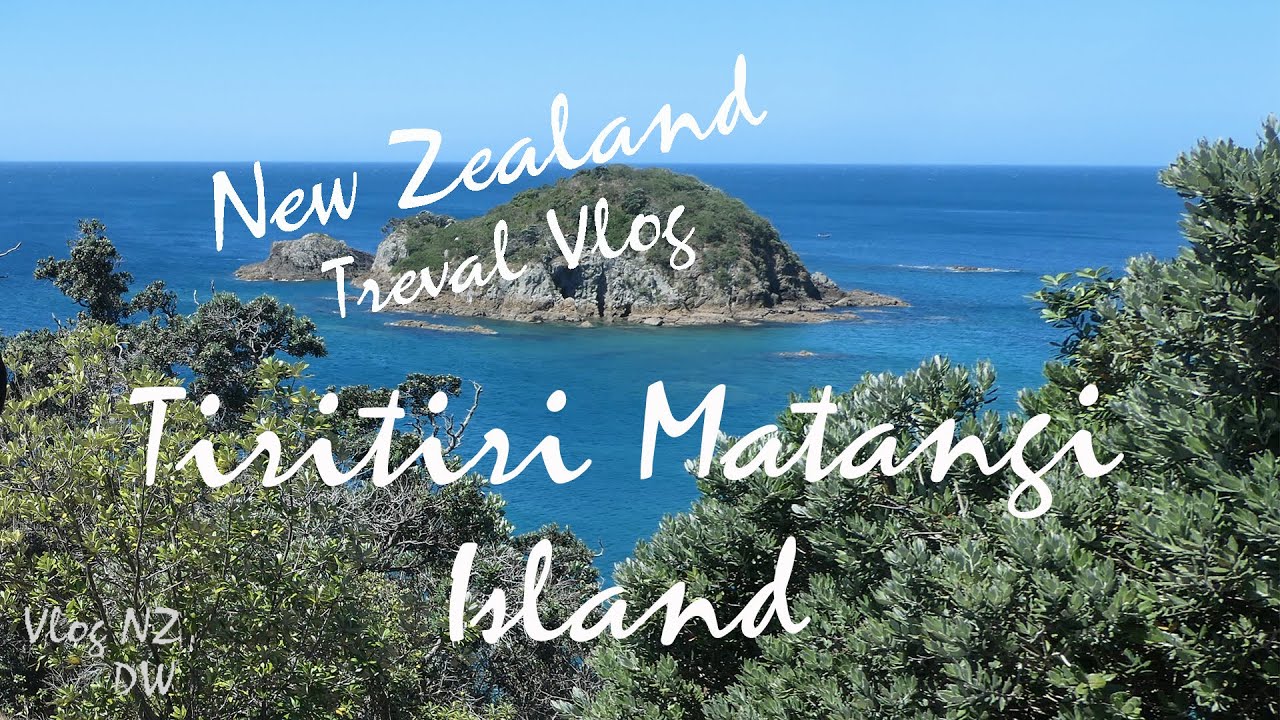 Tiritiri Matangi Island- The Untouched Paradise in New Zealand - YouTube
