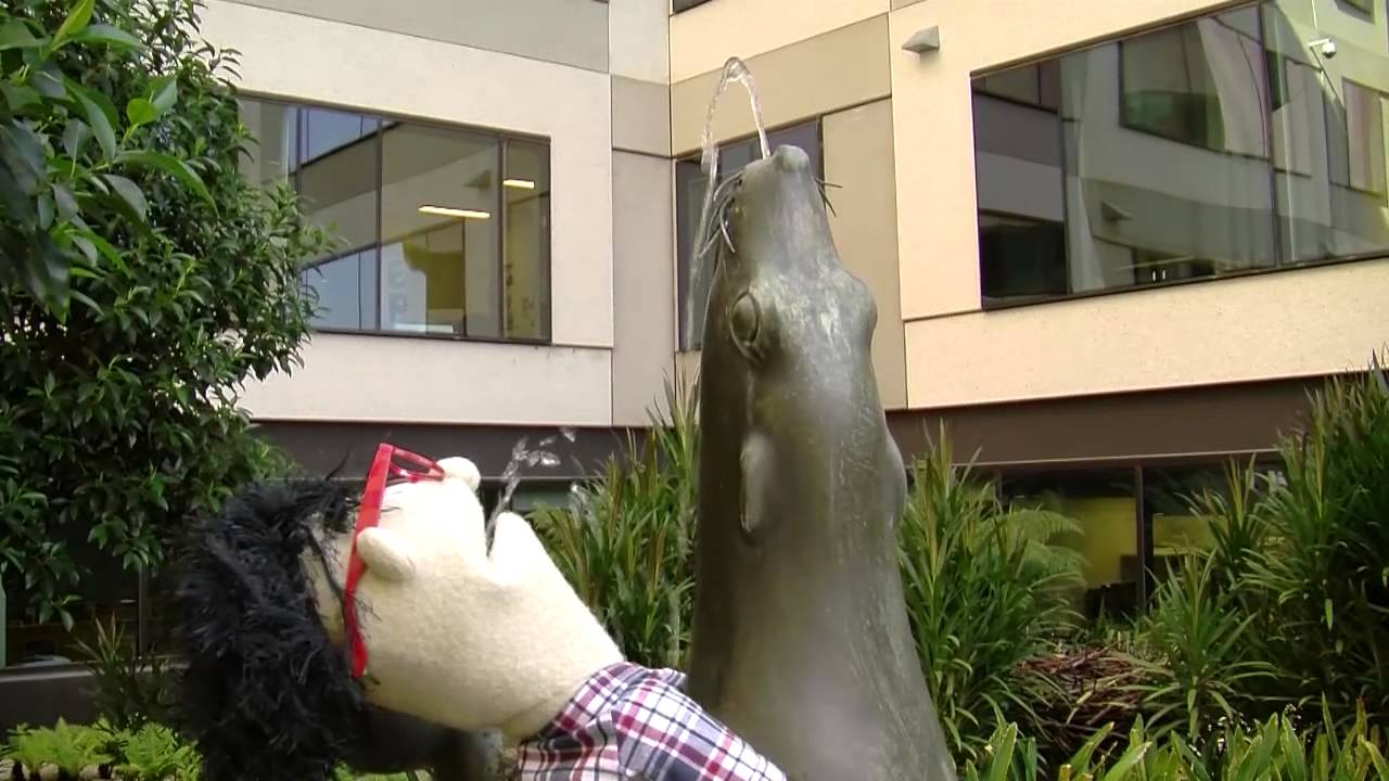 Rocco on Tour - WADJA Aboriginal Family Place - YouTube
