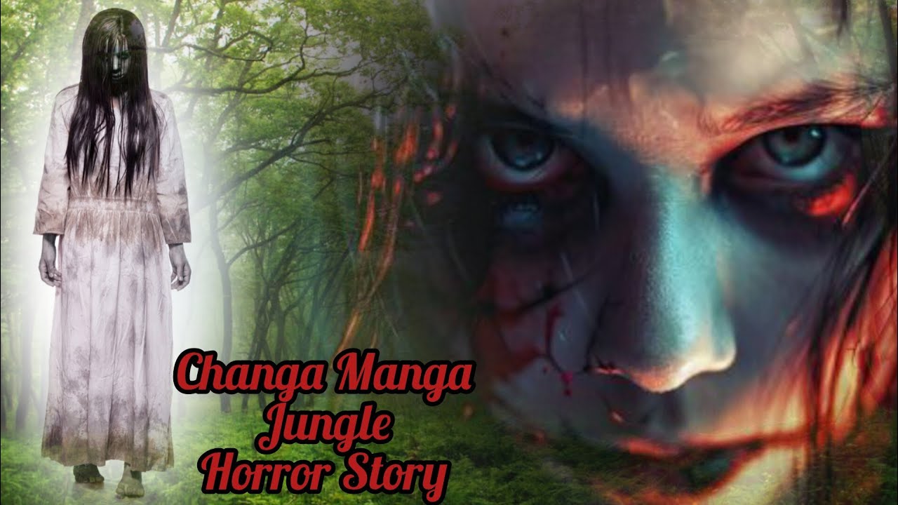Changa Manga Jungle Horror Story ||| Horror Stories In Hindi Urdu ...